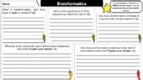 Bioinformatics Worksheet And Answer Sheet By High Babe With Hannah