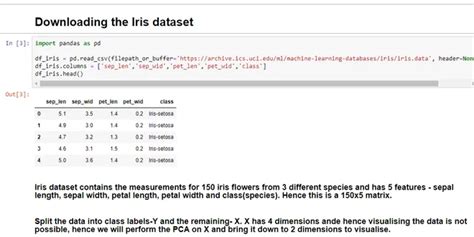 Principal Component Analysis Learn Data Science With Travis Your Ai Powered Tutor