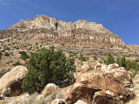 Roadside Attractions In Great Basin Baker Nevada — Discover Great Basin