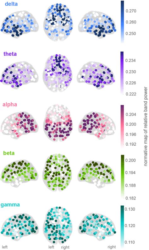 Normative Band Power Varies Across Regions Mean Relative Band Power In Download Scientific