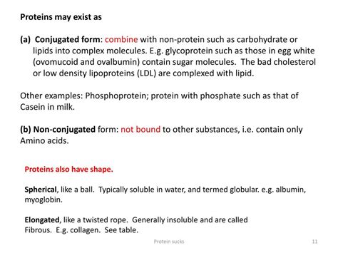 Each Amino Acid Shares A Common Structure With An Amine Group Nh2