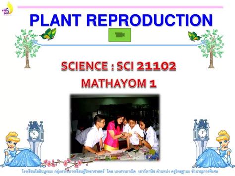 Ppt Plant Reproduction Powerpoint Presentation Free Download Id