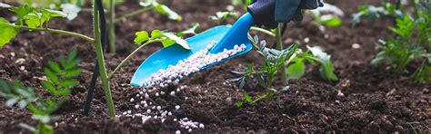 Organic Granular Fertilizer Rutom Bio