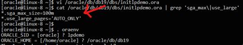 oracle tips and techs linux huge pages and auto only option of oracle 19c