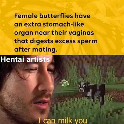 My Brain Is Trembling R Hentaimemes