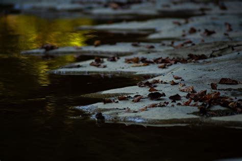 Sex Point Sex Point Added A New Photo