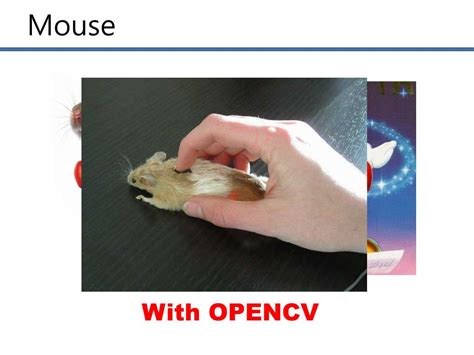 Ppt Multimedia Programming 19 Mouse With Opencv Powerpoint