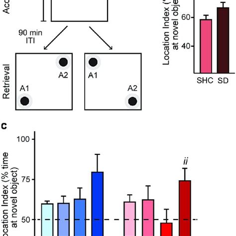 Object Location Memory Test Configuration And Location Indices A Download Scientific