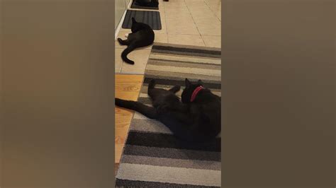 Synchronously Youtube