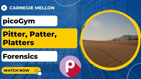Picogym Picoctf Exercise Pitter Patter Platters Youtube Picogym Picoctf Exercise Pitter Patter Platters Youtube