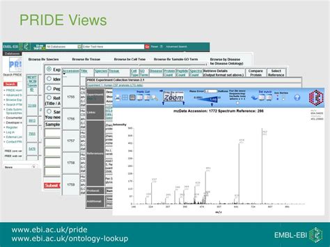 Ppt Pride The Proteomics Identifications Database Powerpoint Presentation Id 4662938