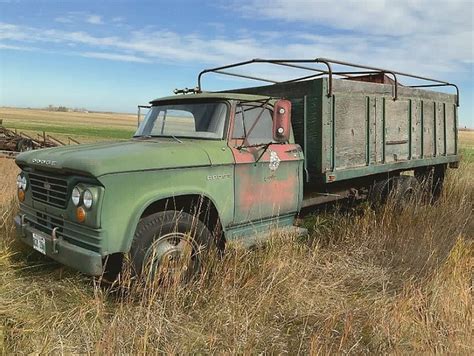 1964 Dodge D Series Dodge D4 Or 500 Farm Truck For Sale In Flickr
