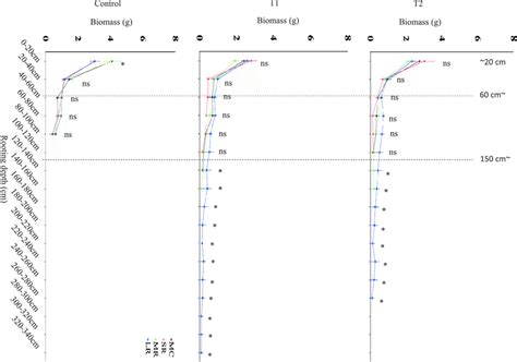 Root Length Biomass Distribution Along The Primary Root In Mc Sr Mr Download Scientific