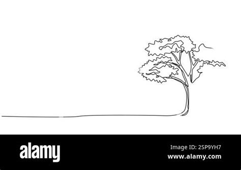 Animated Continuous Single Line Drawing Of A Deciduous Tree Line Art