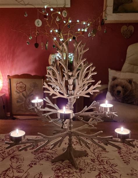 Sarah Morrish Natural History Illustration In Pen And Ink