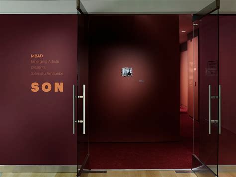 Son Salimatu Amabebes Portfolio