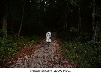 20 Thousand Walking Into Dark Forest Path Royalty Free Images Stock Photos Pictures