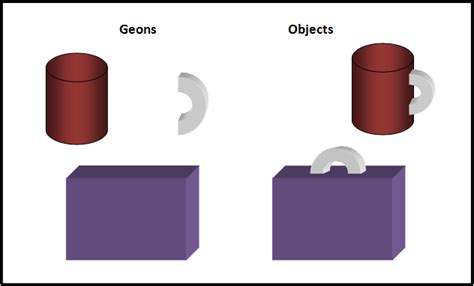 cognitive neuroscience of visual object recognition psynso