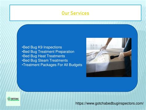 Ppt Points To Consider For Effective Bed Bug Removal Powerpoint