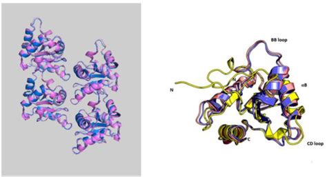 Figure 1 From Structure Determination Of Tlr2 Tir Domain Induced Myd88