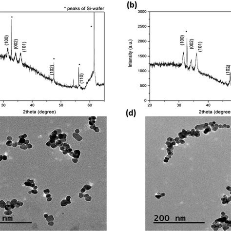 Structural And Morphological Characterization Xrd Patterns For A Zno Download Scientific