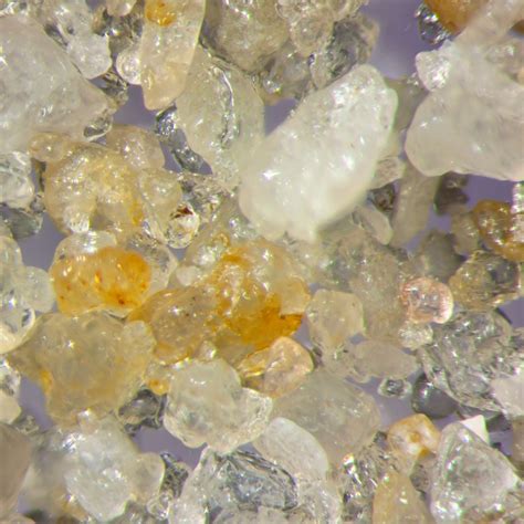 Sable Au Microscope Meilleurs Microscopes