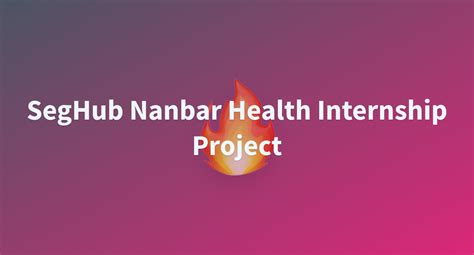 Team Gemini SeqHub Nanbar Health Internship Project Discussions