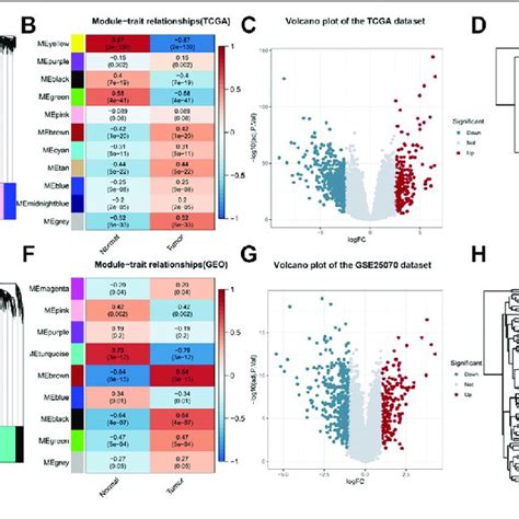 A In Tcga Coad Read Dataset The Dendrograms Of All Differentially
