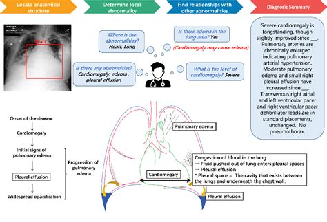 Figure 2 From Interpretable Medical Image Visual Question Answering Via Multi Modal Relationship