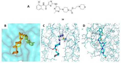 The Journey Of Ddr1 And Ddr2 Kinase Inhibitors As Rising Stars In The Fight Against Cancer Pmc