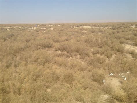 The More Knowledge And Experience The Better Capability And Judgement