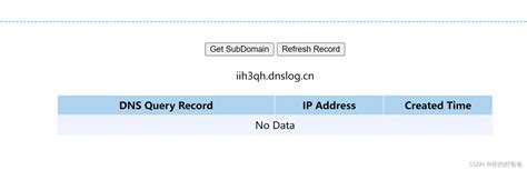 Dns注入 Csdn博客
