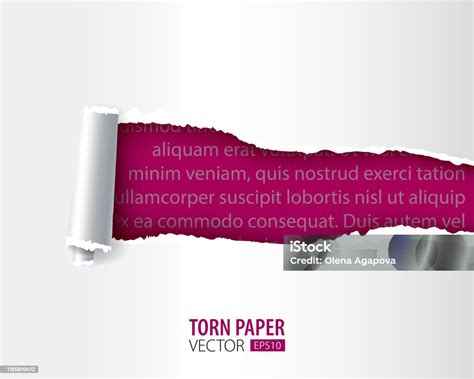 찢어진 종이 구멍 웹 및 인쇄를 위한 색상 배경에 용지에 구멍이 뚫입니다 찢기에 대한 스톡 벡터 아트 및 기타 이미지 찢기