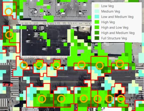 Forest Structure Analysis Using Lidar Symgeo