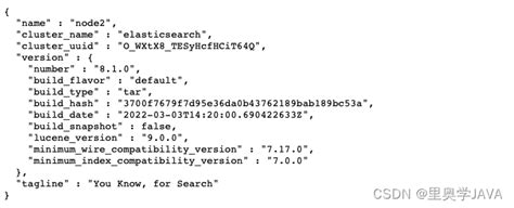 Elasticsearch集群搭建 Csdn博客