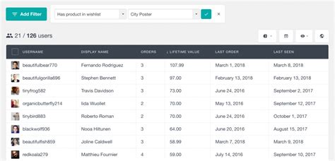 Woocommerce User Data Users Insights