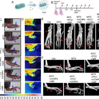 Treatment Effect Chart Of The CMP System A Preparation Of The CMP Download Scientific