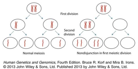 Genetics Dna Methods Chromosomal Disorders And Multifactorial Inheritance Flashcards Quizlet