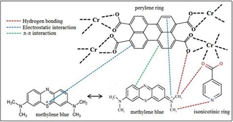 Possible Interactions Between Methylene Blue And Cr Ptc Hina Download Scientific Diagram
