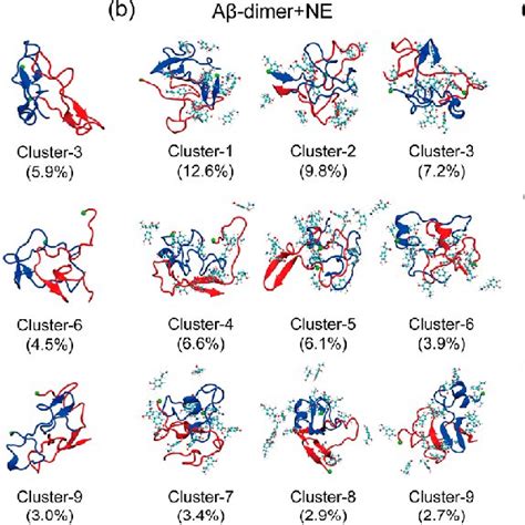 Representative Conformations Of The First Nine Most Populated Clusters