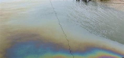 Мазни петна плуват по Дунав Tvn Bg