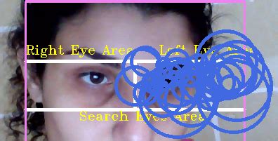 Opencv EMGU CV Real Time Eye Tracking Using C Stack Overflow