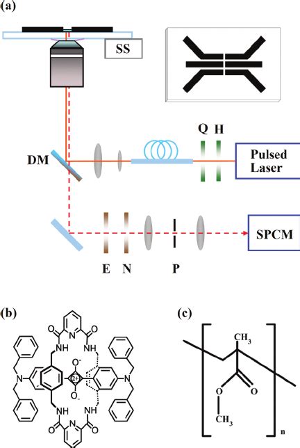 A Schematic Of The Experimental Setup Ss Piezo Scan Stage Dm Download Scientific Diagram