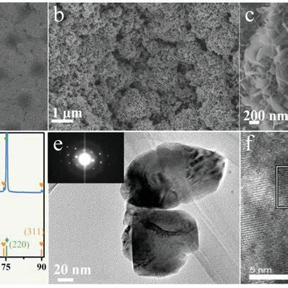 Field Emission SEM FESEM Images Of A Patterned BDD B CuNFs BDD Download Scientific