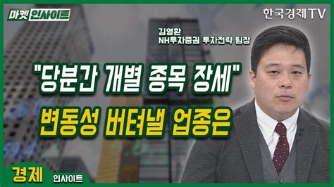 당분간 개별 종목 장세변동성 버텨낼 업종은김영환 경제 인사이트 한국경제tv Youtube