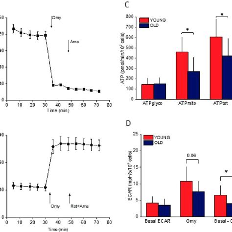 Atp Rate Assay A Ocr Oxygen Consumption Rate In A Single Download Scientific Diagram