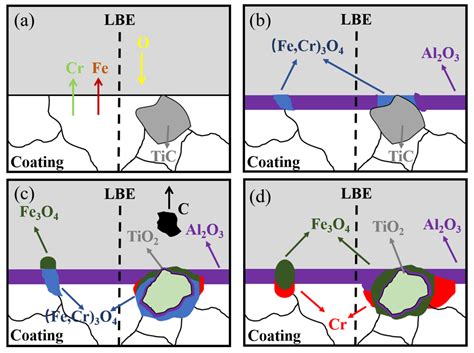 Effects Of Y2o3 Addition On The Microstructure And Static Lead Bismuth Eutectic Thermal