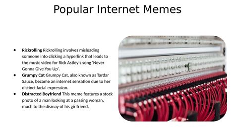 Internet Memes Explained