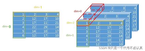 Torchnnfunctionalnormalize参数说明torch Normalize Csdn博客