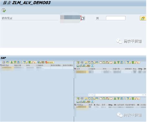 使用cl gui docking container实现多alv csdn博客